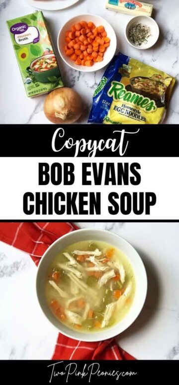 Copycat Bob Evans Chicken Noodle Soup Recipe {stove top or crockpot}