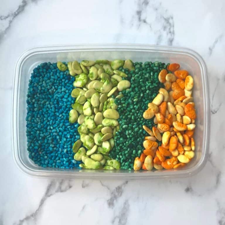 Bean Sensory Bin | Two Pink Peonies