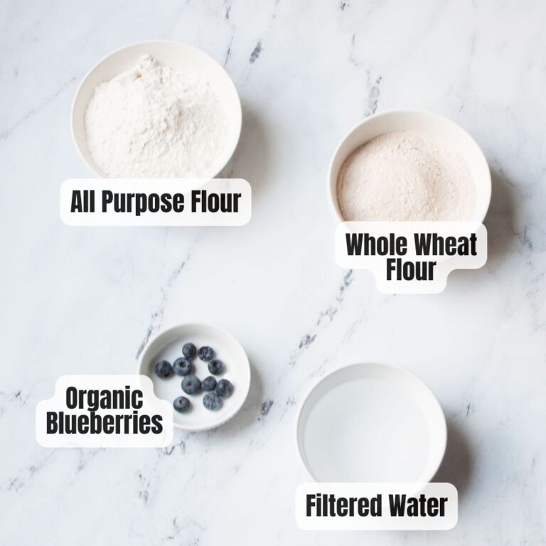 How to Make Sourdough Starter with Blueberries