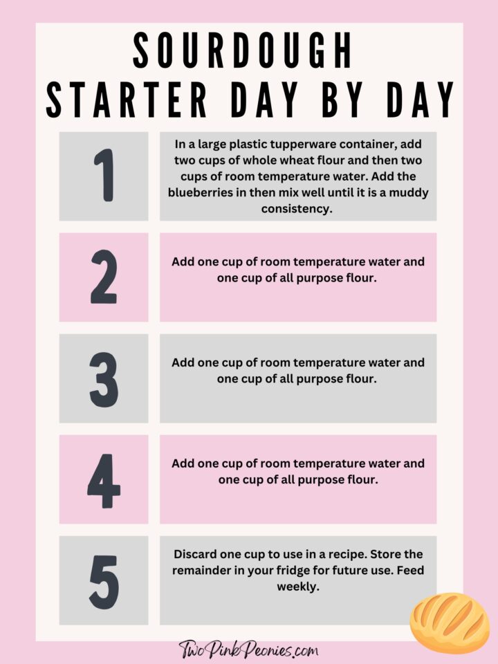 How to Make Sourdough Starter with Blueberries