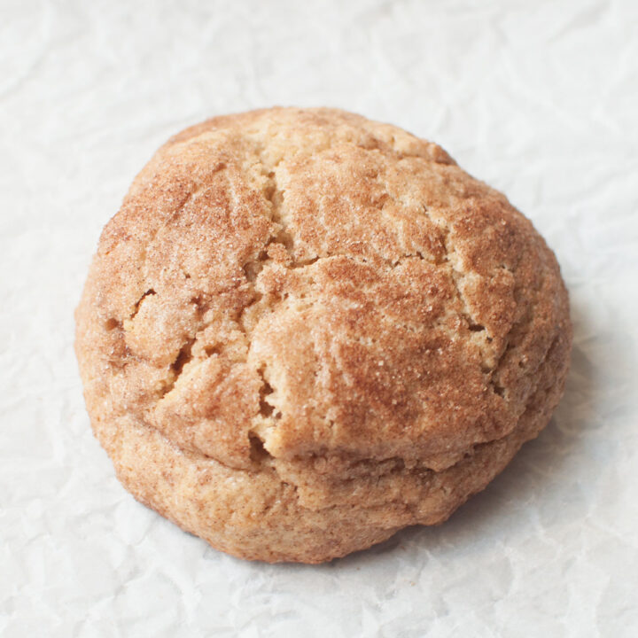 Jumbo Snickerdoodles | Two Pink Peonies