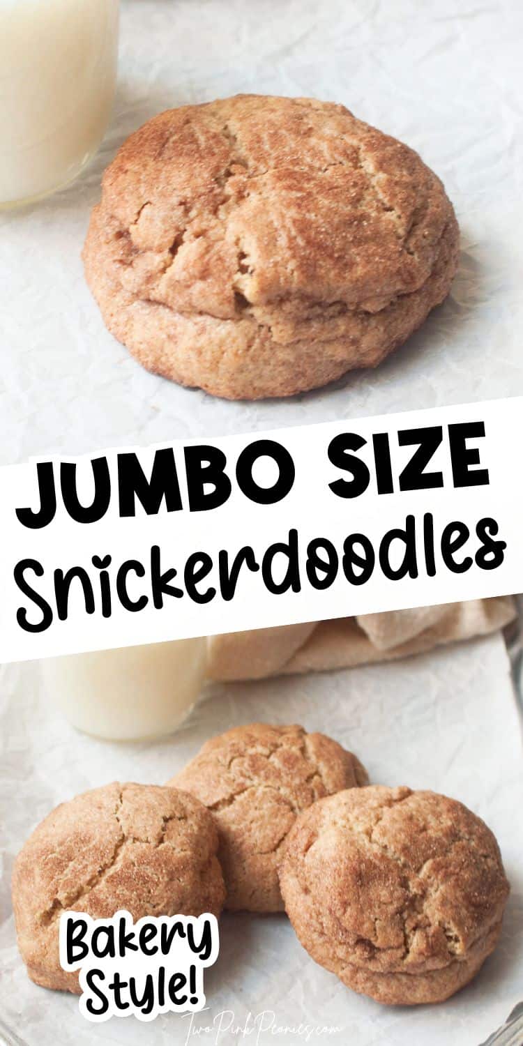 Jumbo Snickerdoodles | Two Pink Peonies