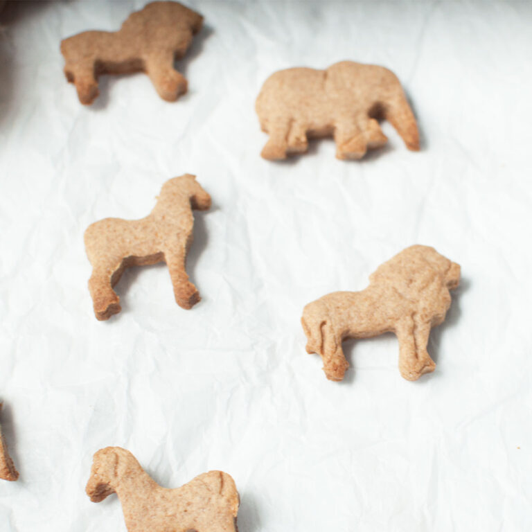Cinnamon Animal Crackers | Two Pink Peonies